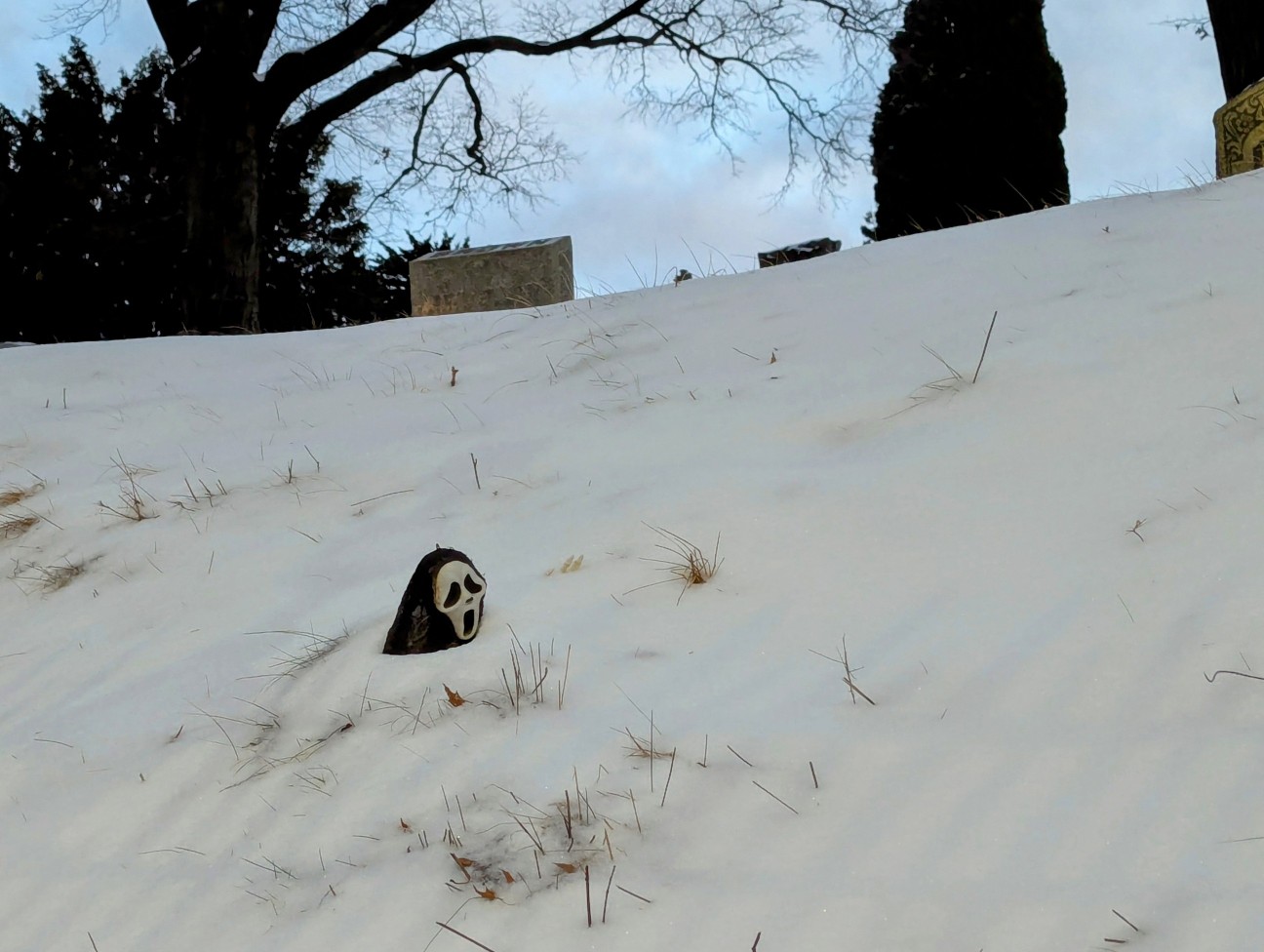 Green-Wood Cemetery’s Ghostface is Buried in Snow – Dynamic Subspace