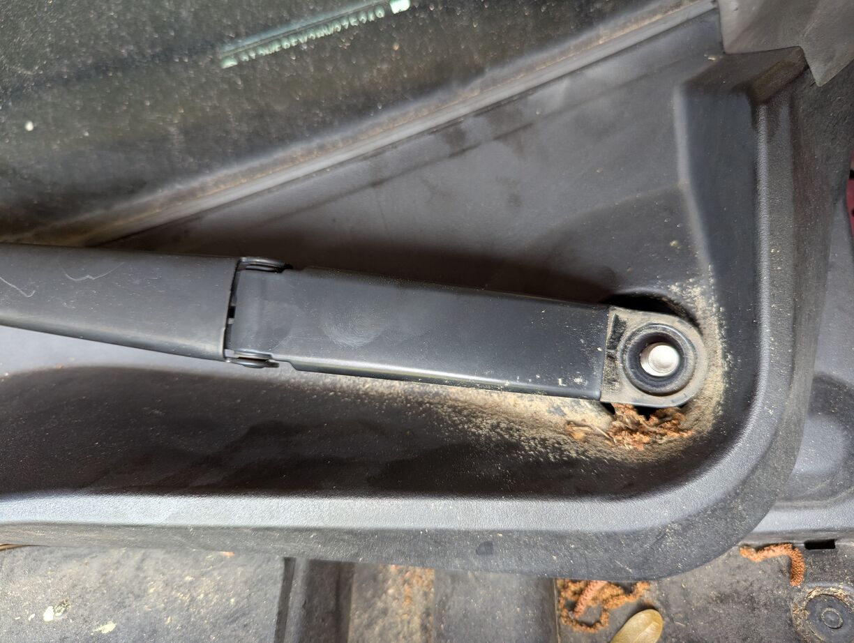 How to Keep Mice Out of a 2017 Toyota RAV4 SUV – Dynamic Subspace